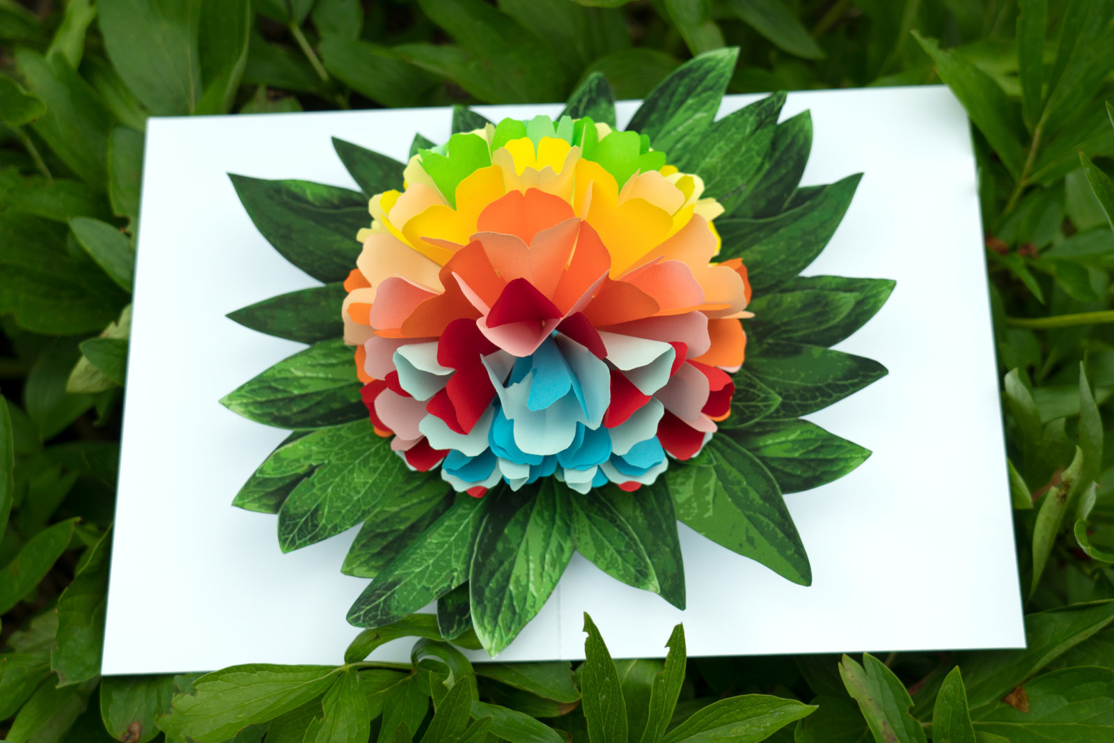 Tutorials – Peter Dahmen